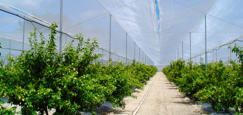 Mallas anti insectos | Nutriflor