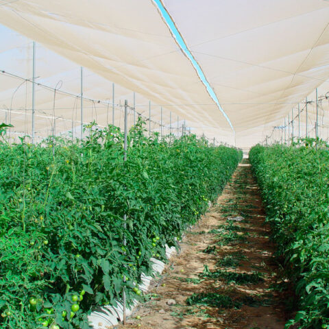 Mallas anti insectos | Nutriflor